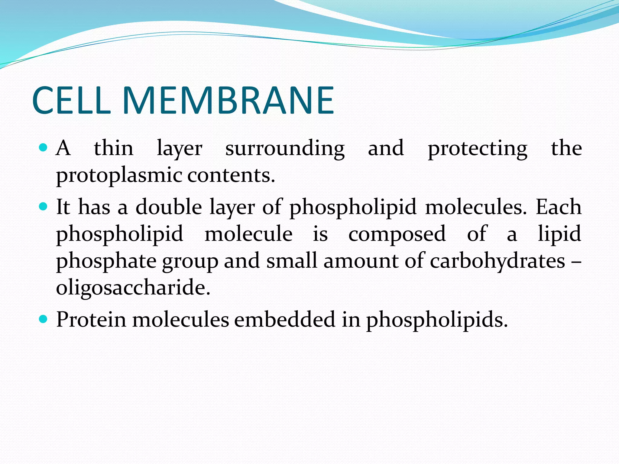 Parts of the cell | PPTX | Chemistry | Science