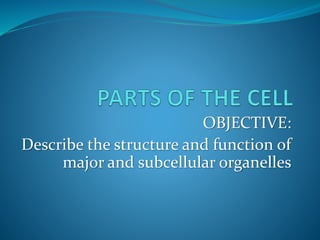 Parts of the cell | PPTX | Chemistry | Science