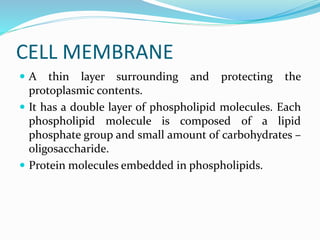Parts of the cell | PPTX