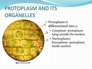 Parts of the cell | PPTX | Chemistry | Science