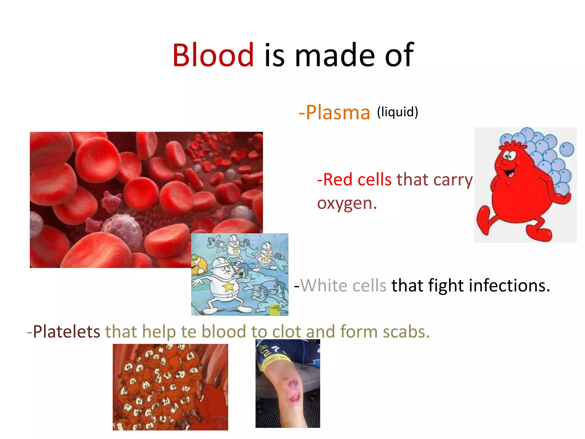 Parts of the circulatory system | PPTX
