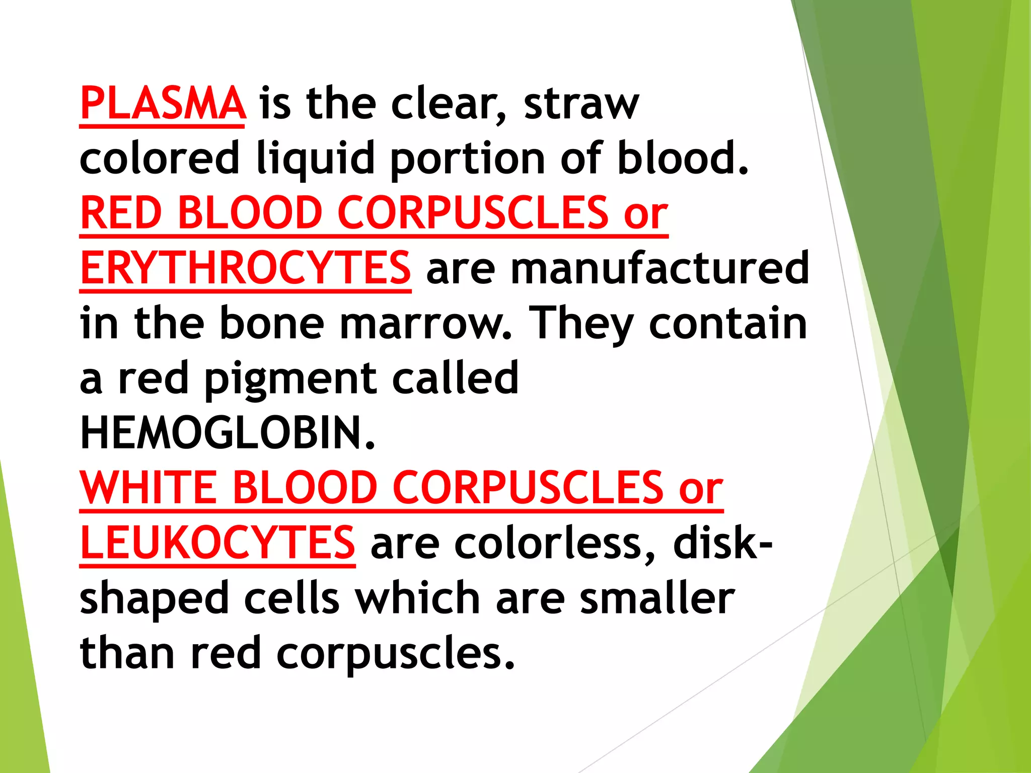 Parts of the circulatory system (day 1) | PPTX