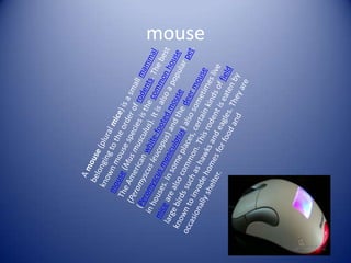 Parts Of The Computer | PPT