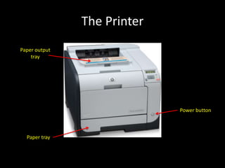 Basic Parts of the Computer (Kindergarten) | PPTX