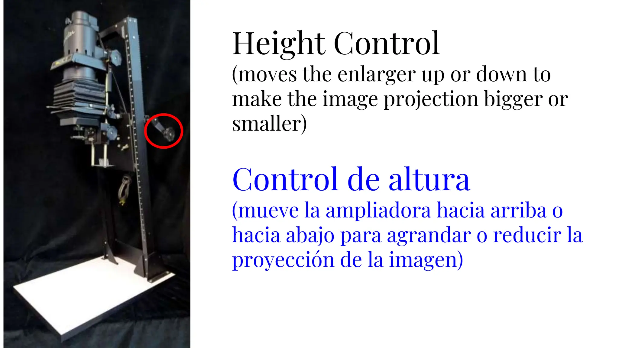 Parts of the Enlarger & How to Print a Contact Sheet.pptx