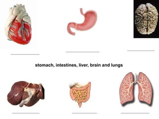 Parts of the body | PPTX