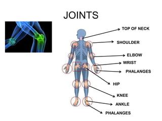Parts of the body | PPTX