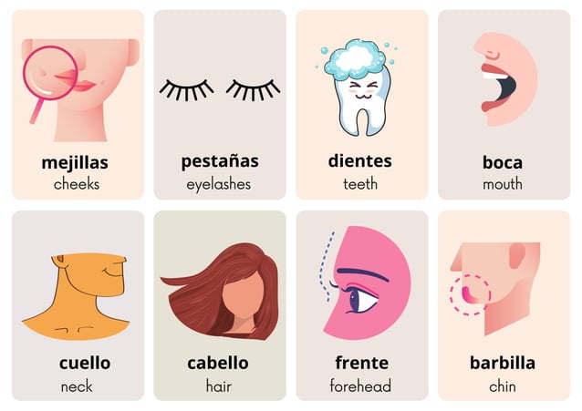 Parts of the Face - Spanish Vocabulary - Flashcards.pdf