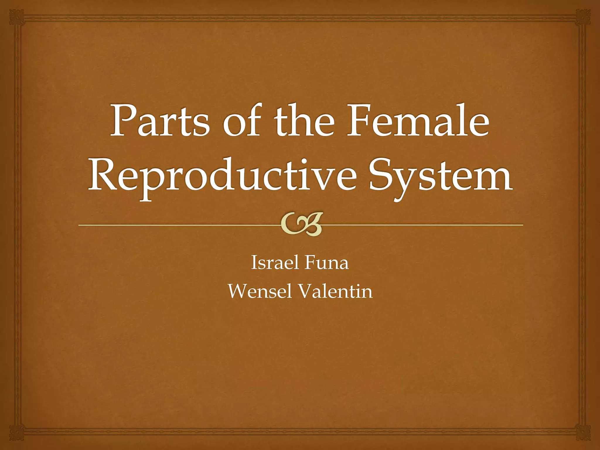 Parts of the female reprodutive system | PPTX