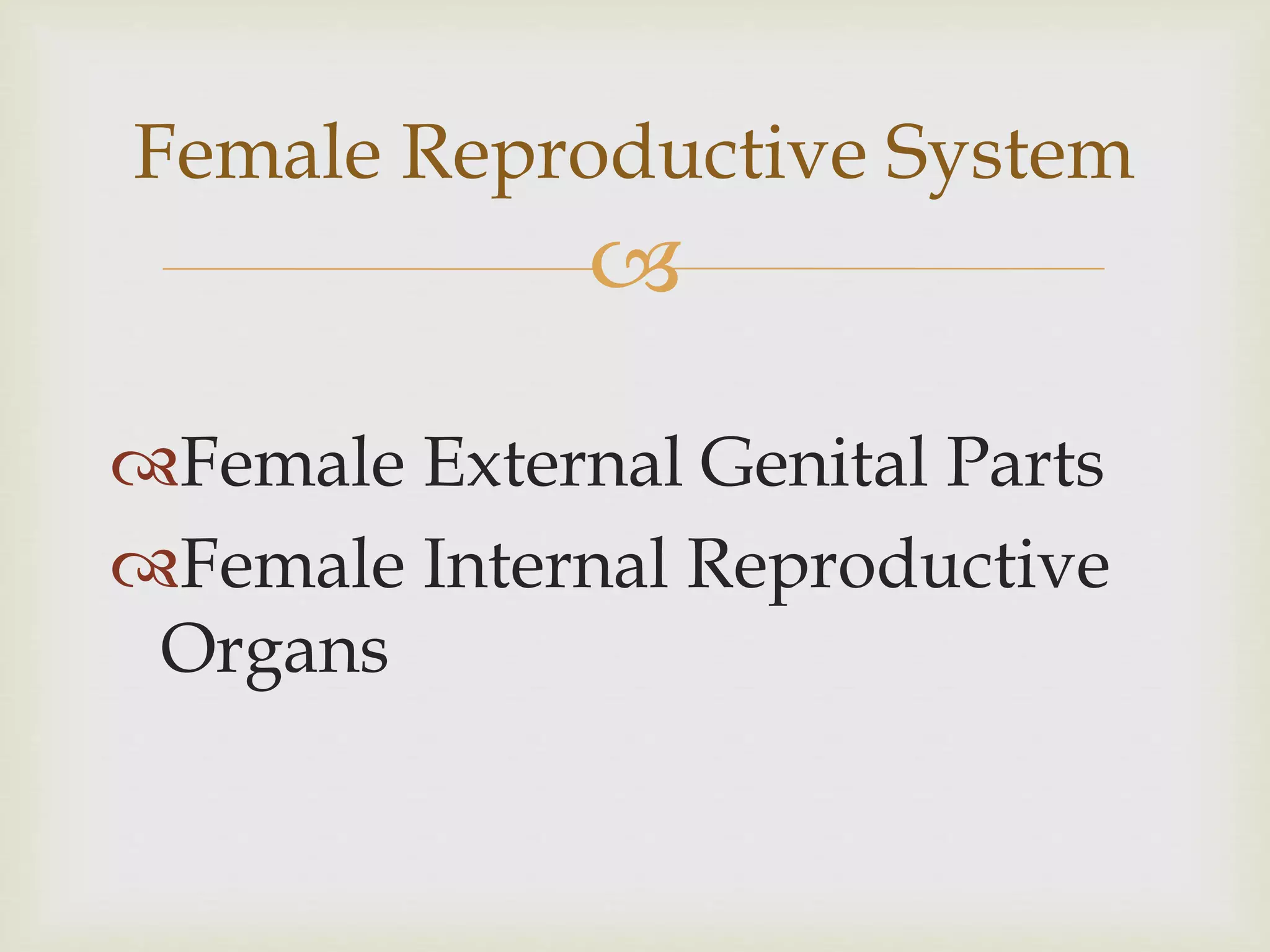 Parts of the female reprodutive system | PPTX
