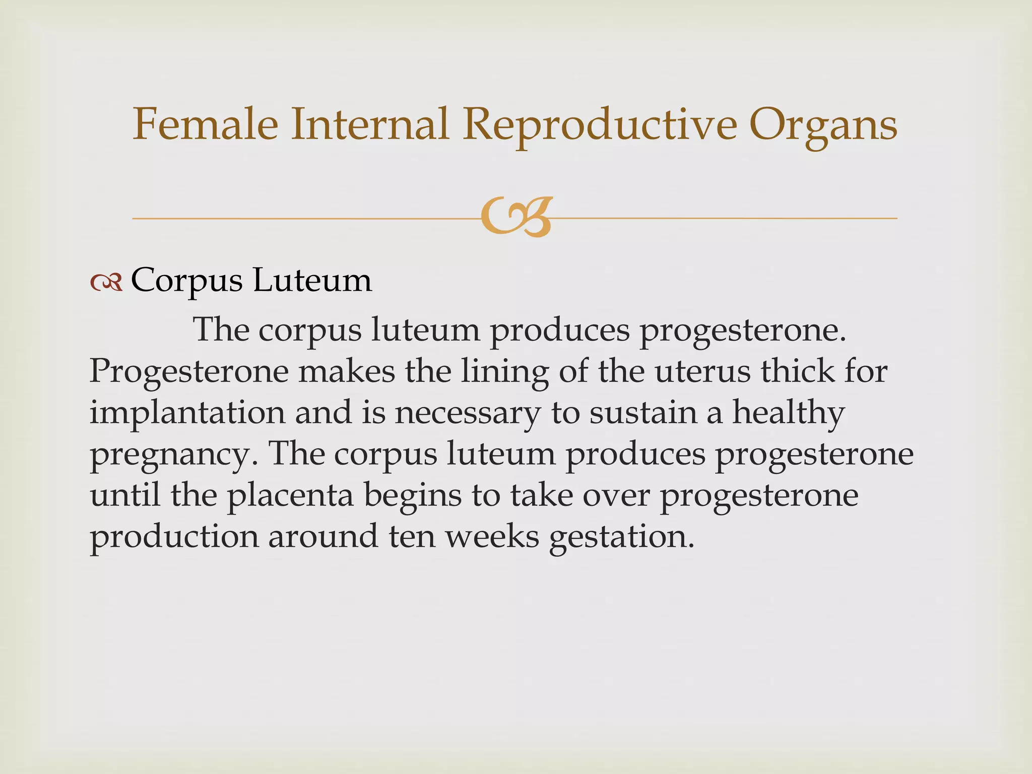 Parts of the female reprodutive system | PPTX