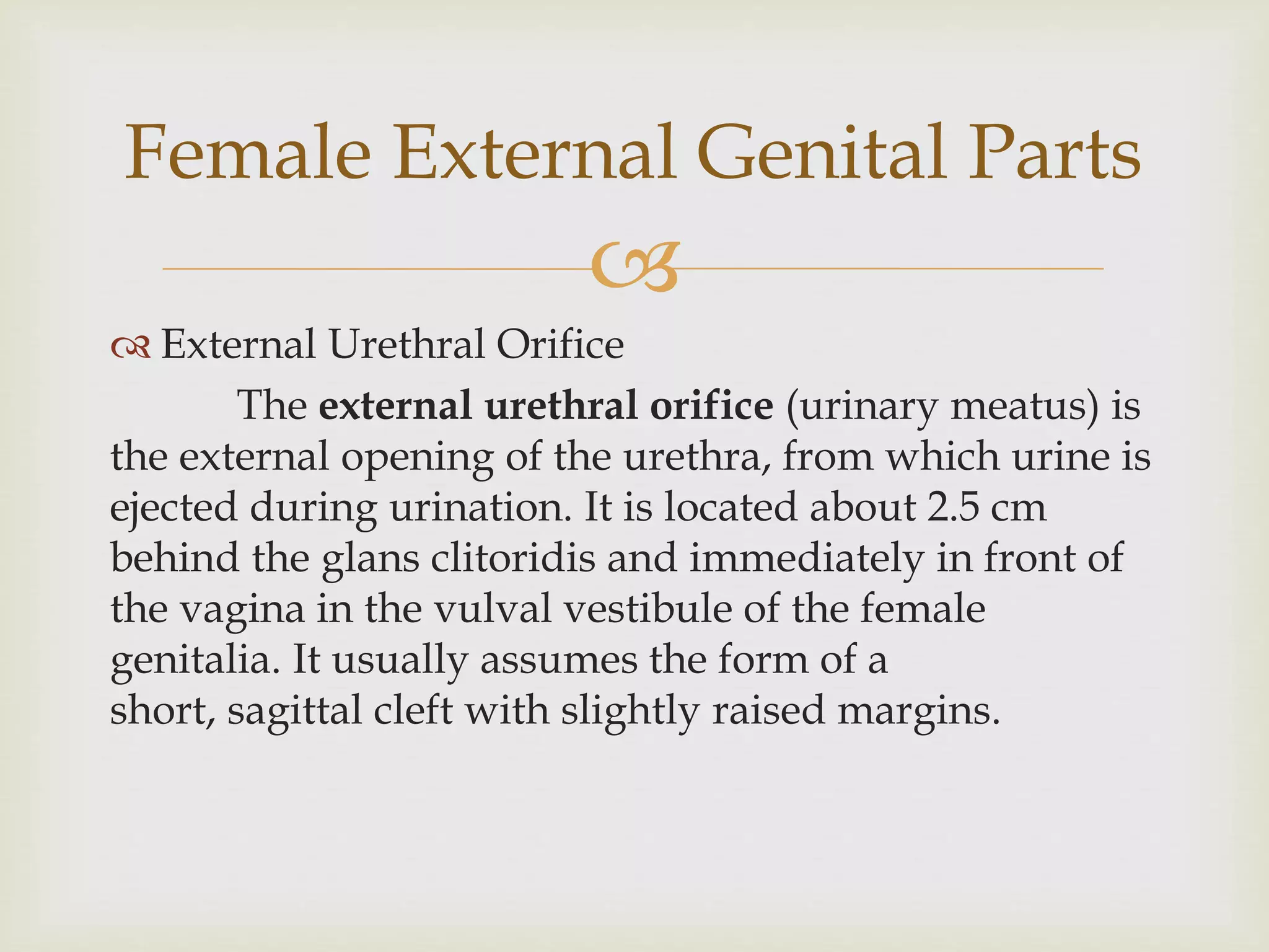 Parts of the female reprodutive system | PPTX