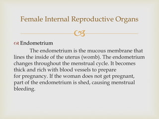 Parts of the female reprodutive system | PPTX