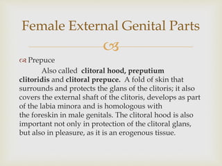 Parts of the female reprodutive system | PPTX