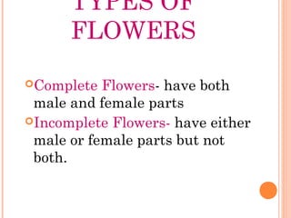 partsoftheflower-160715111306.pdfhhhhhhhh | PDF