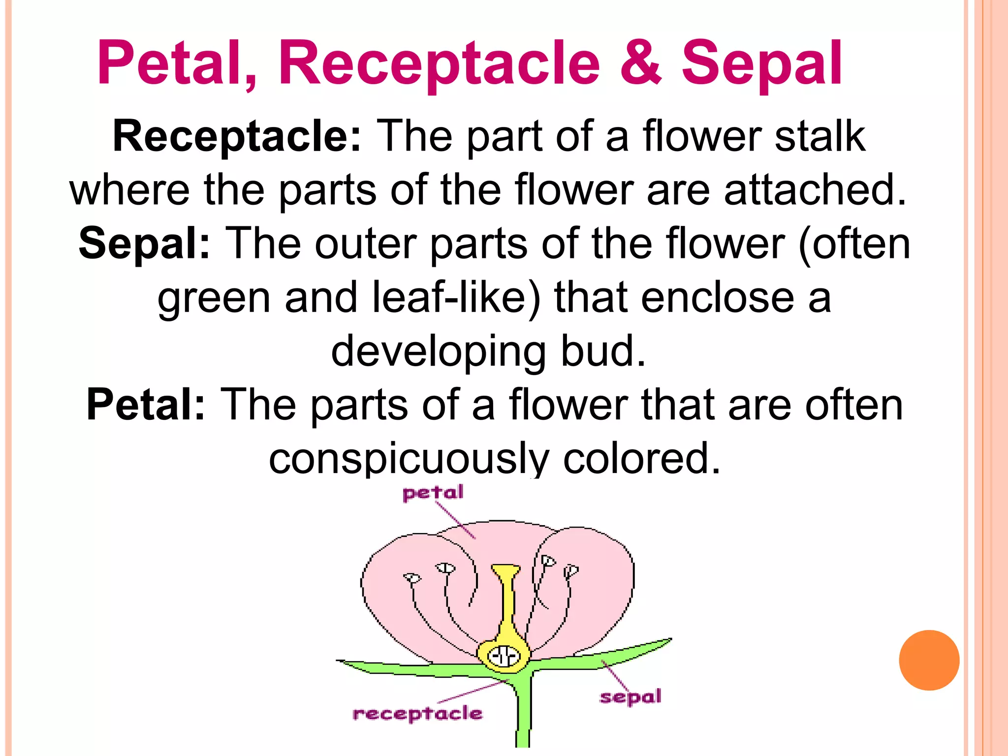 Parts of the flower | PPT