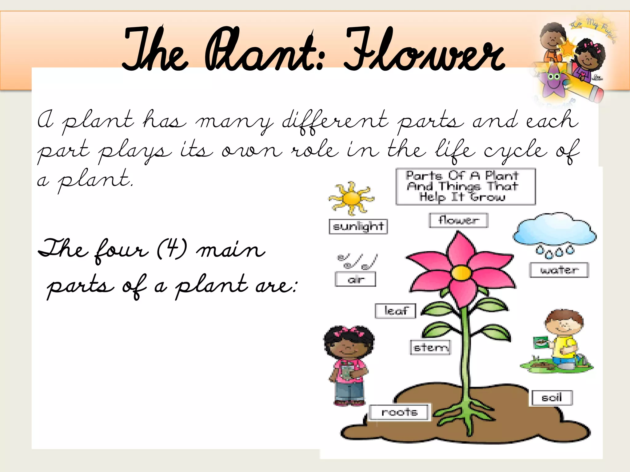 Parts Of The Flower Lesson | PDF