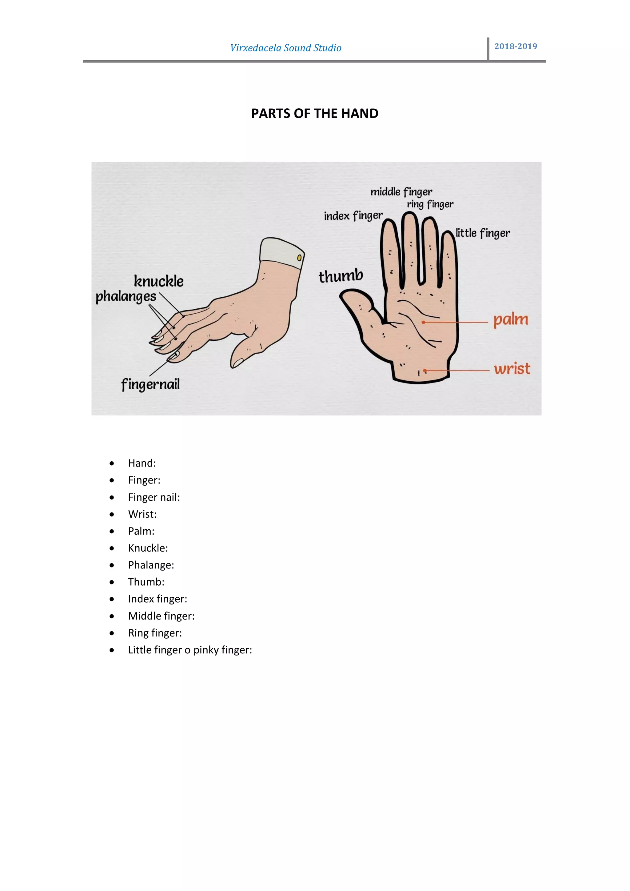 Parts of the hand | PDF