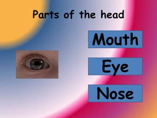 Parts Of The Head | PPSX