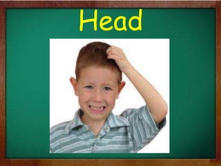 Parts of the head | PPTX