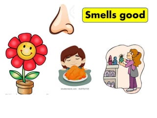 Parts of the head five sense organ | PPTX