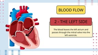 Parts of the Heart Anatomy Biology Presentation in a Colorful Bold ...