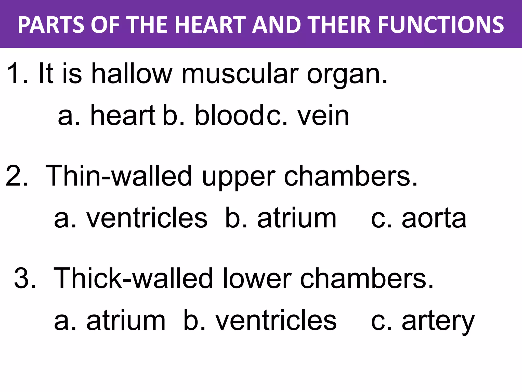 Parts of the heart and their functions | PDF