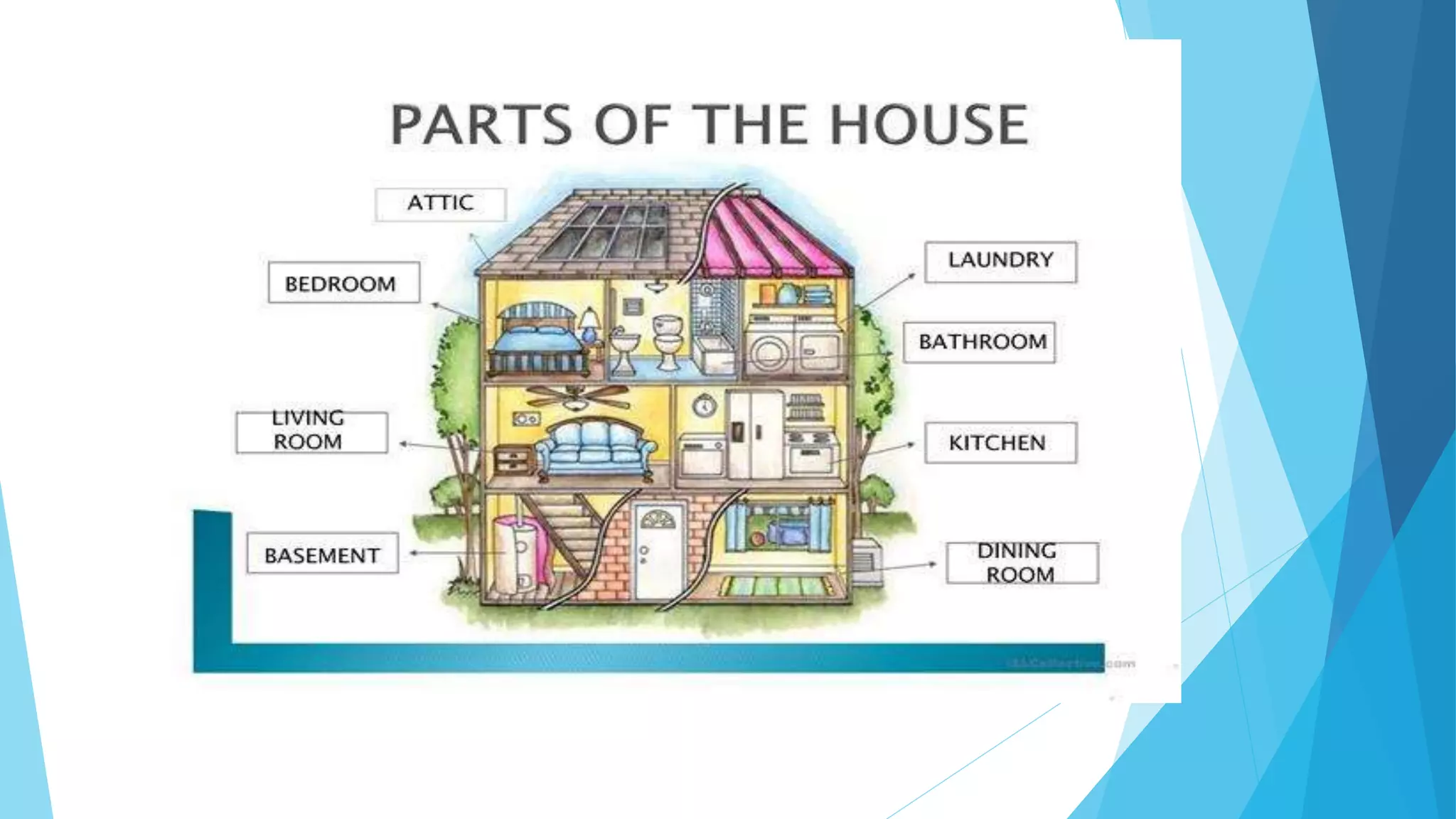 Parts of the House | PPTX | Bath and Shower | Personal Care