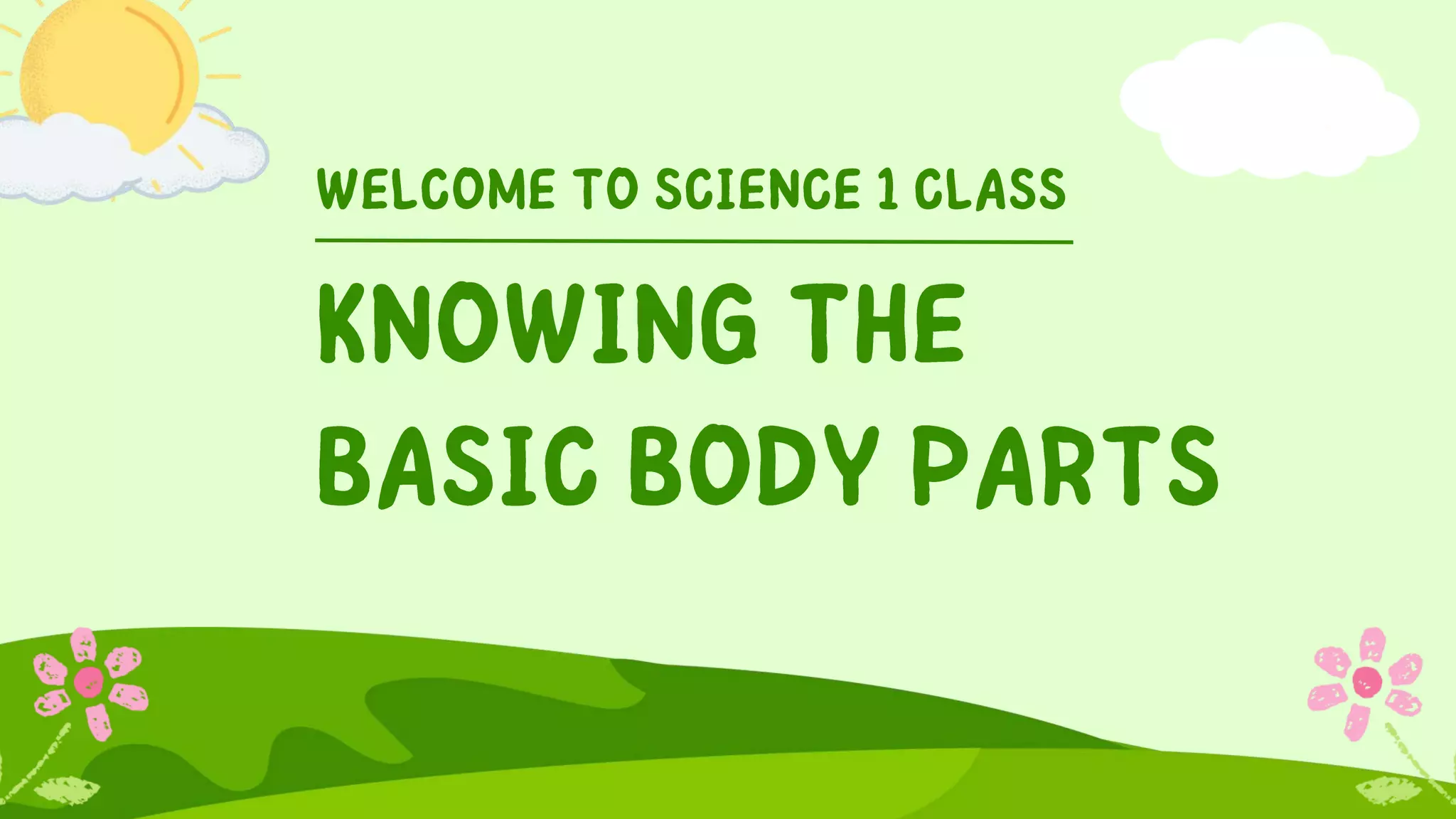 Basic Body Parts | PPTX
