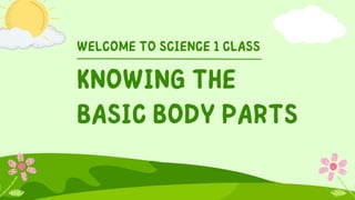 Basic Body Parts | PPT