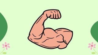 Basic Body Parts | PPTX