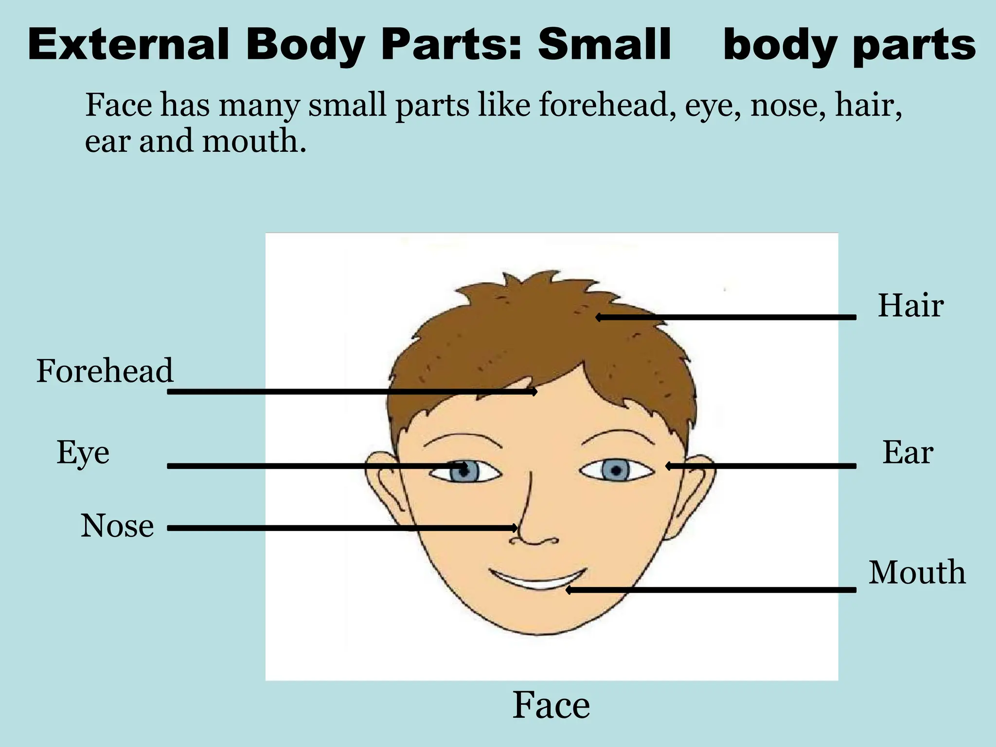 Parts of the human body. Lesson 1 Medicine [Autoguardado].pptx