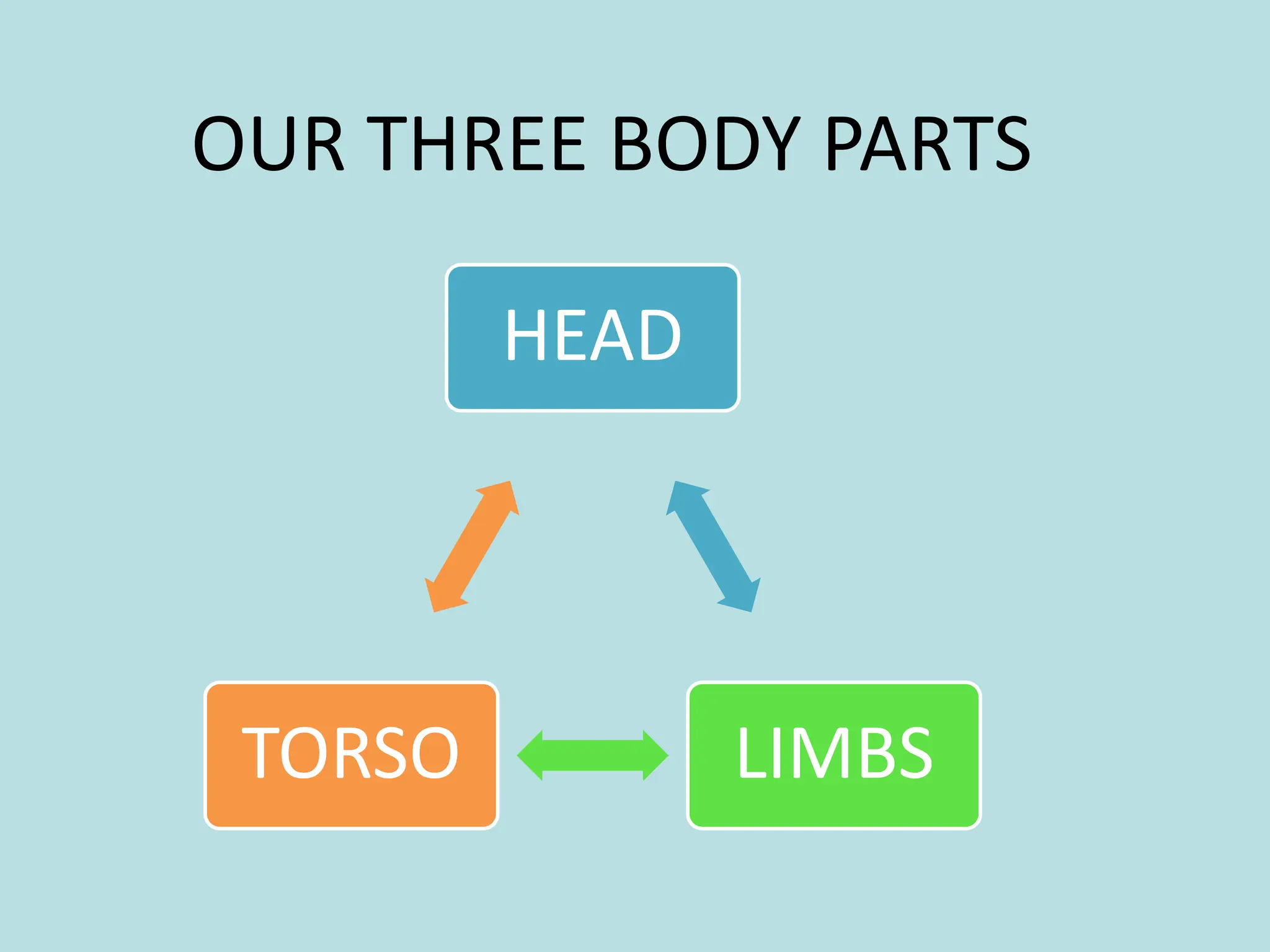 Parts of the human body. Lesson 1 Medicine [Autoguardado].pptx