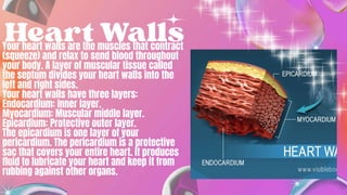 Parts of the Human Heart (2).pptx