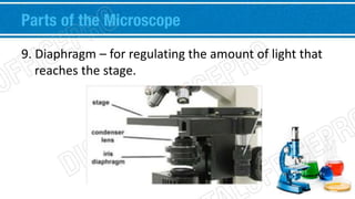 Parts of the microscope | PPTX