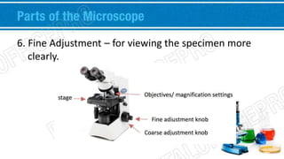 Parts of the microscope | PPTX