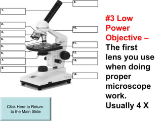 The Parts of Laboratory Microscope.ppt
