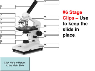 The Parts of Laboratory Microscope.ppt