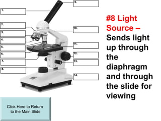 The Parts of Laboratory Microscope.ppt | Photography | Arts and Crafts