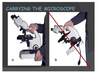 The Parts of Laboratory Microscope.ppt