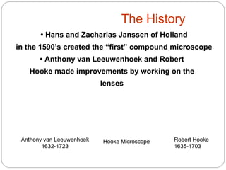 The Parts of Laboratory Microscope.ppt | Photography | Arts and Crafts