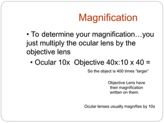The Parts of Laboratory Microscope.ppt | Photography | Arts and Crafts