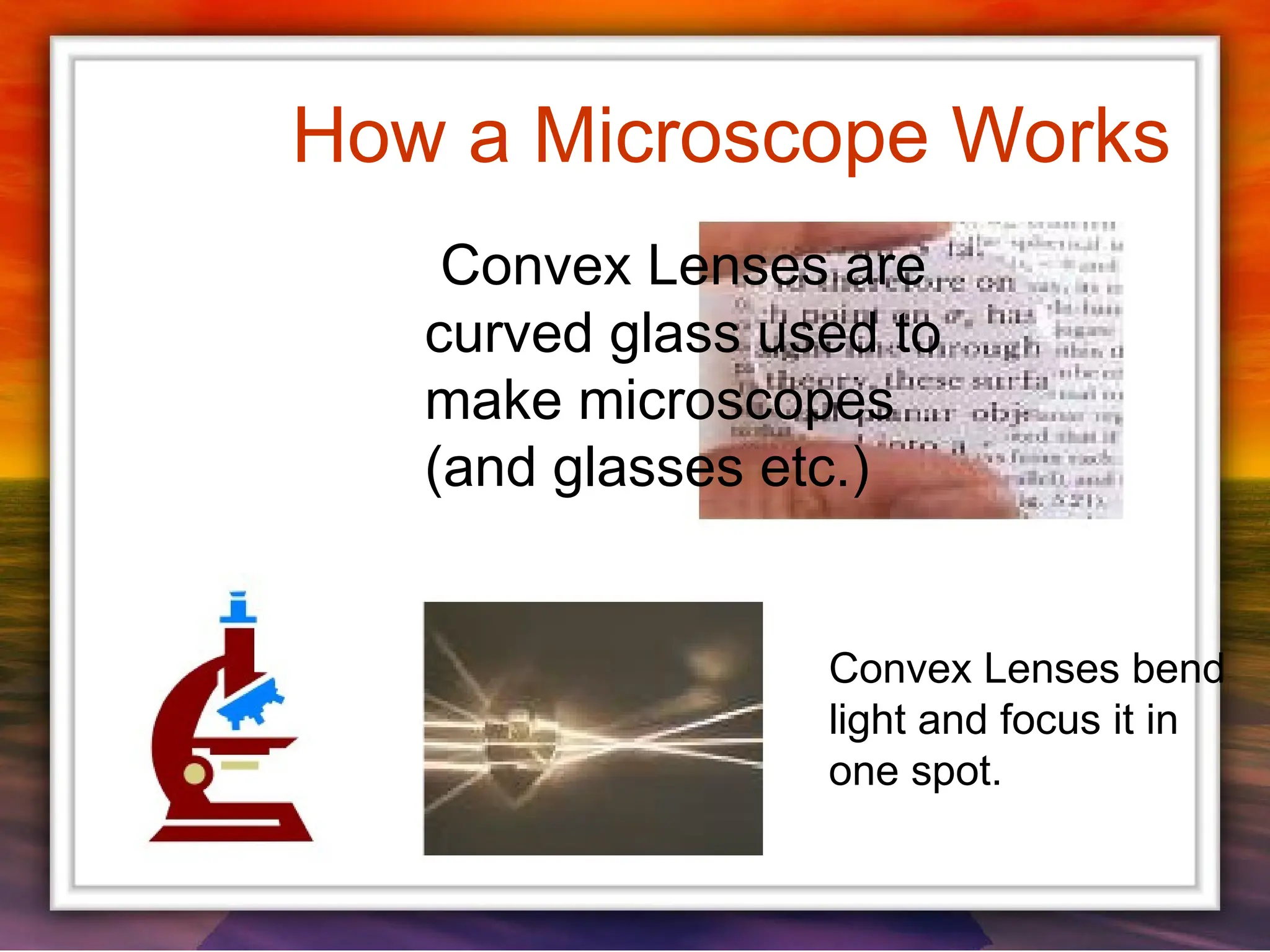 A detailed discussion of the different Parts and functions of the ...