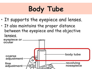 Parts of the microscope and their functions | PPT