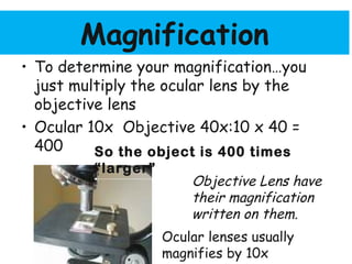 Parts of the microscope and their functions | PPT