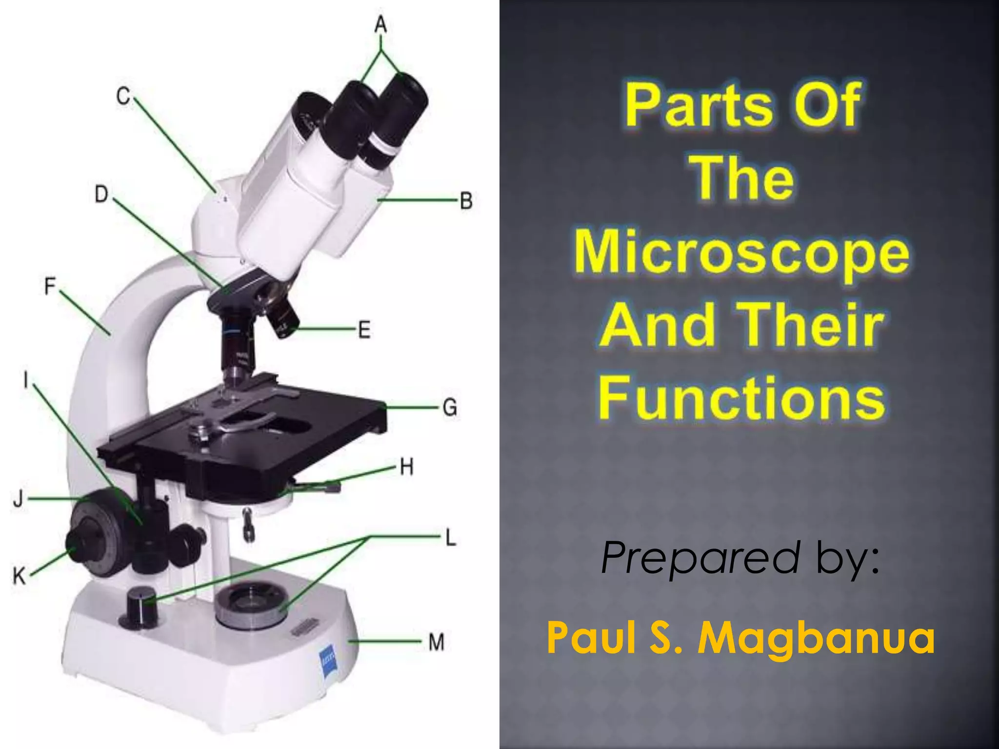 Parts of the microscope and their functions (Game) | PPTX | Photography ...