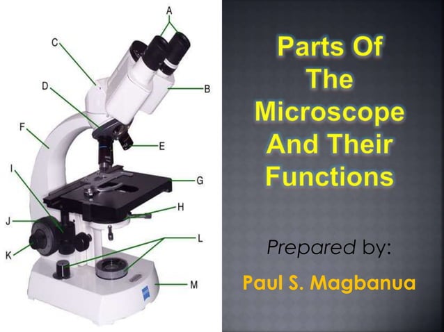 Parts of the microscope and their functions (Game) | PPTX | Photography ...