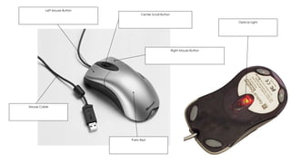 Parts of the Mouse SSES Grade 3 Computer Subject | PPTX