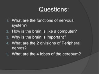 Parts Of The Nervous System | PPTX | Brain and Nervous System Disorders ...