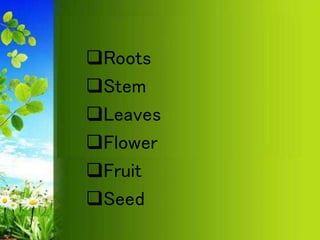 Parts of the parts | PPT